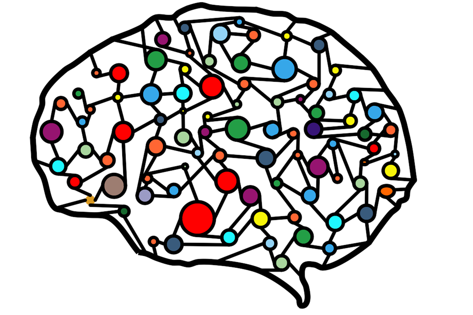 Brain's Neural Activity Plays a Role in Human Aging, Life Span